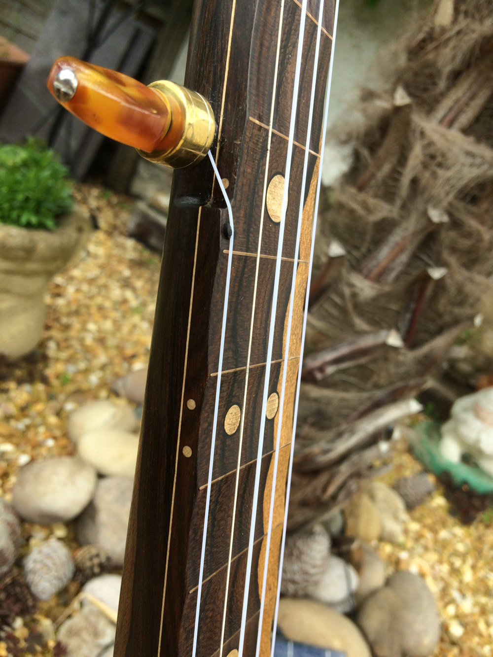 Ziricote Banjo - Discussion Forums - Banjo Hangout